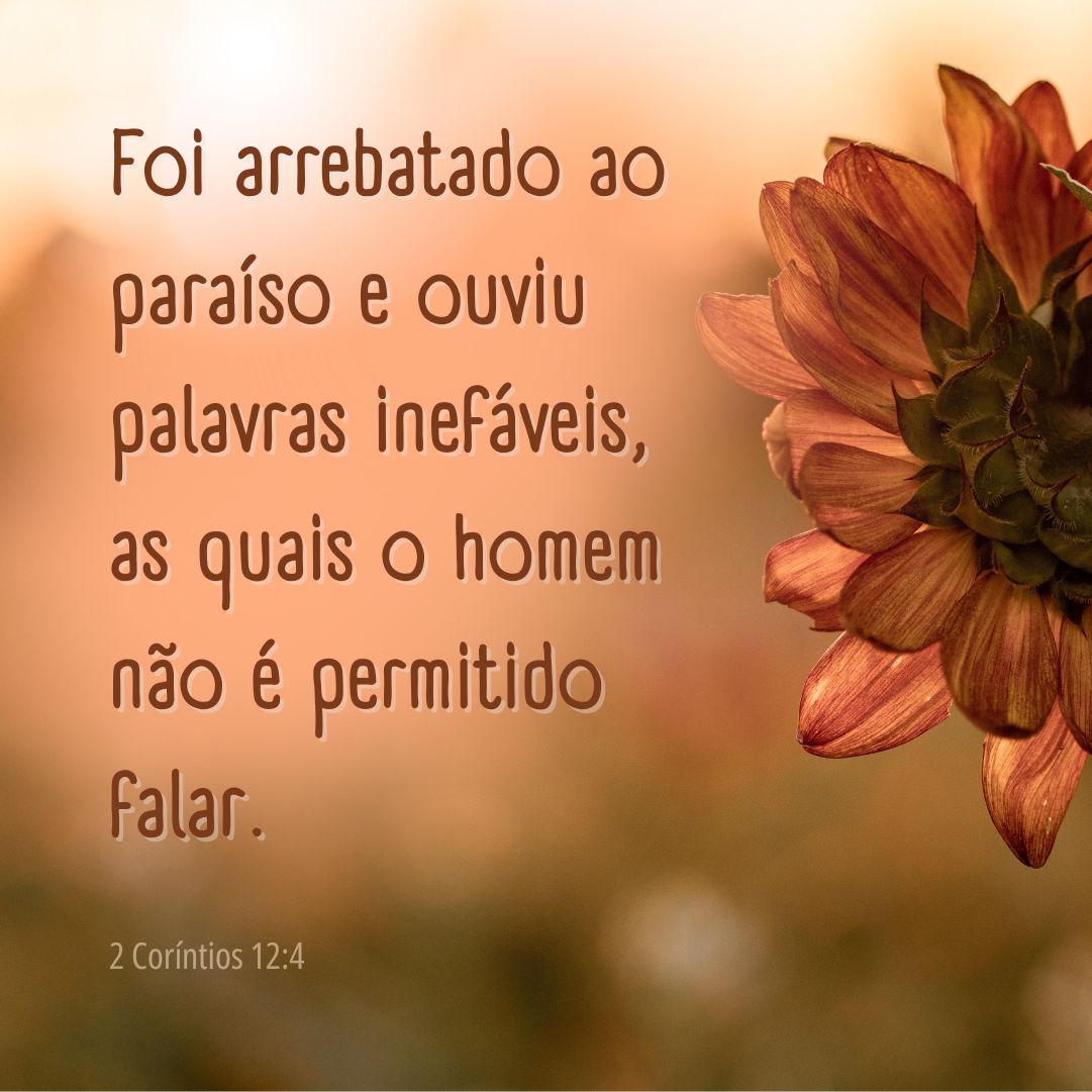 Arrebatado ao terceiro céu e a Igreja na Grande Tribulação by Wilma ...