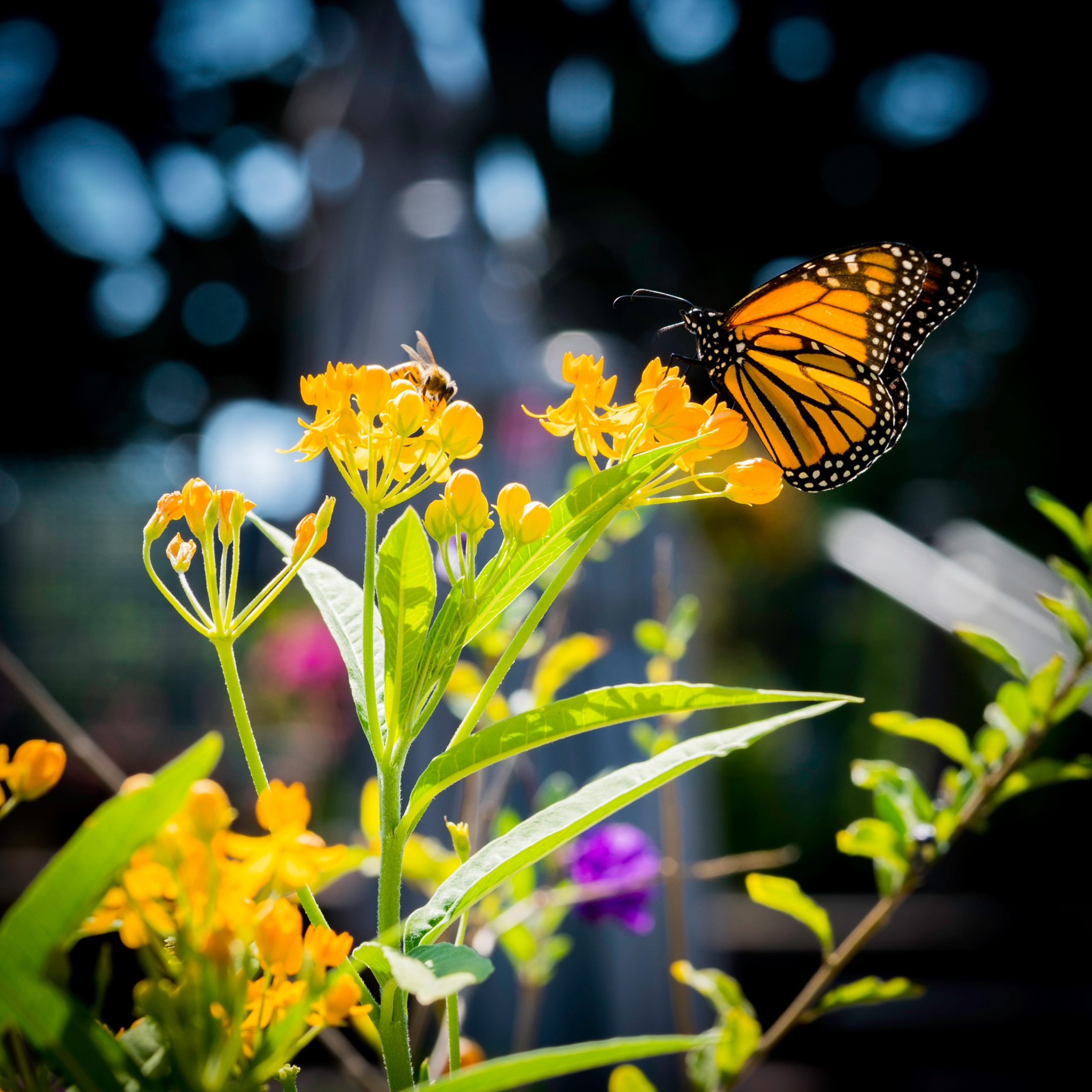 Poem—God’s Goodness and Love for His Children | Crossmap Blogs