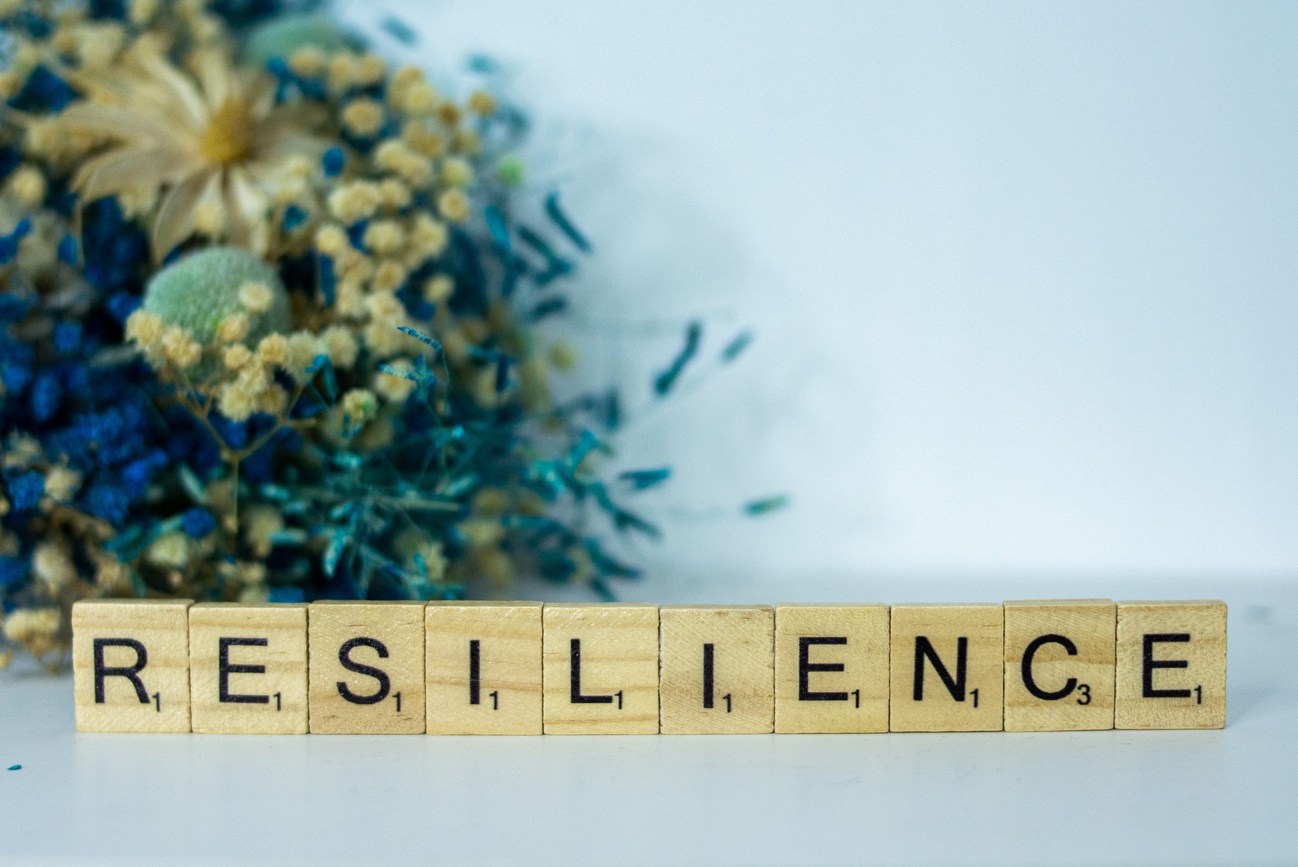 How Job's relationship with God inspires resilience | Crossmap Blogs