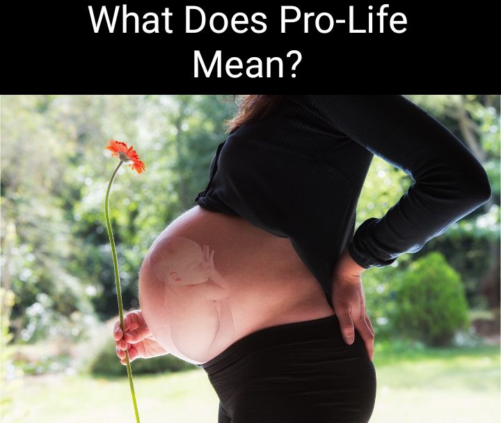 What Does Pro Life Mean? A Lesson For The World | Crossmap Blogs