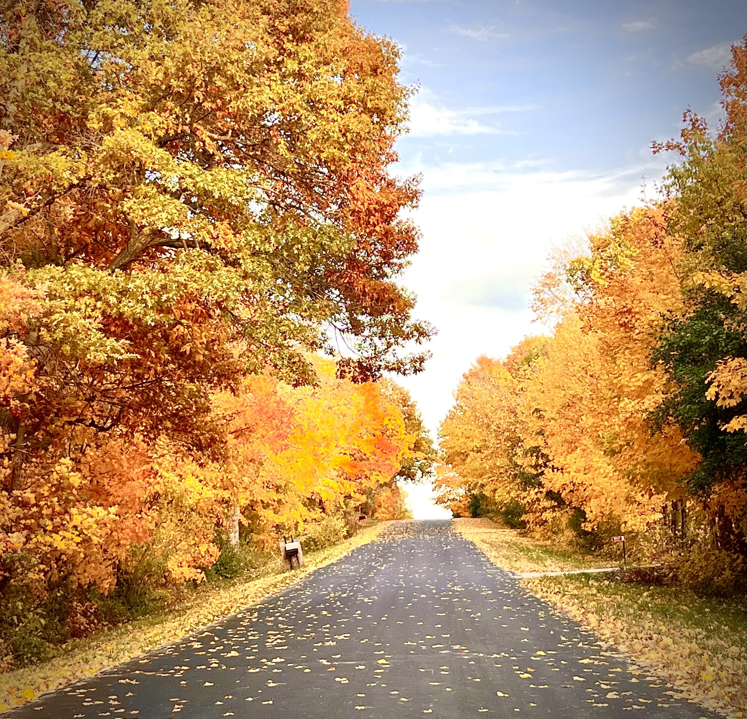 3 Lessons From Autumn Leaves | Crossmap Blogs