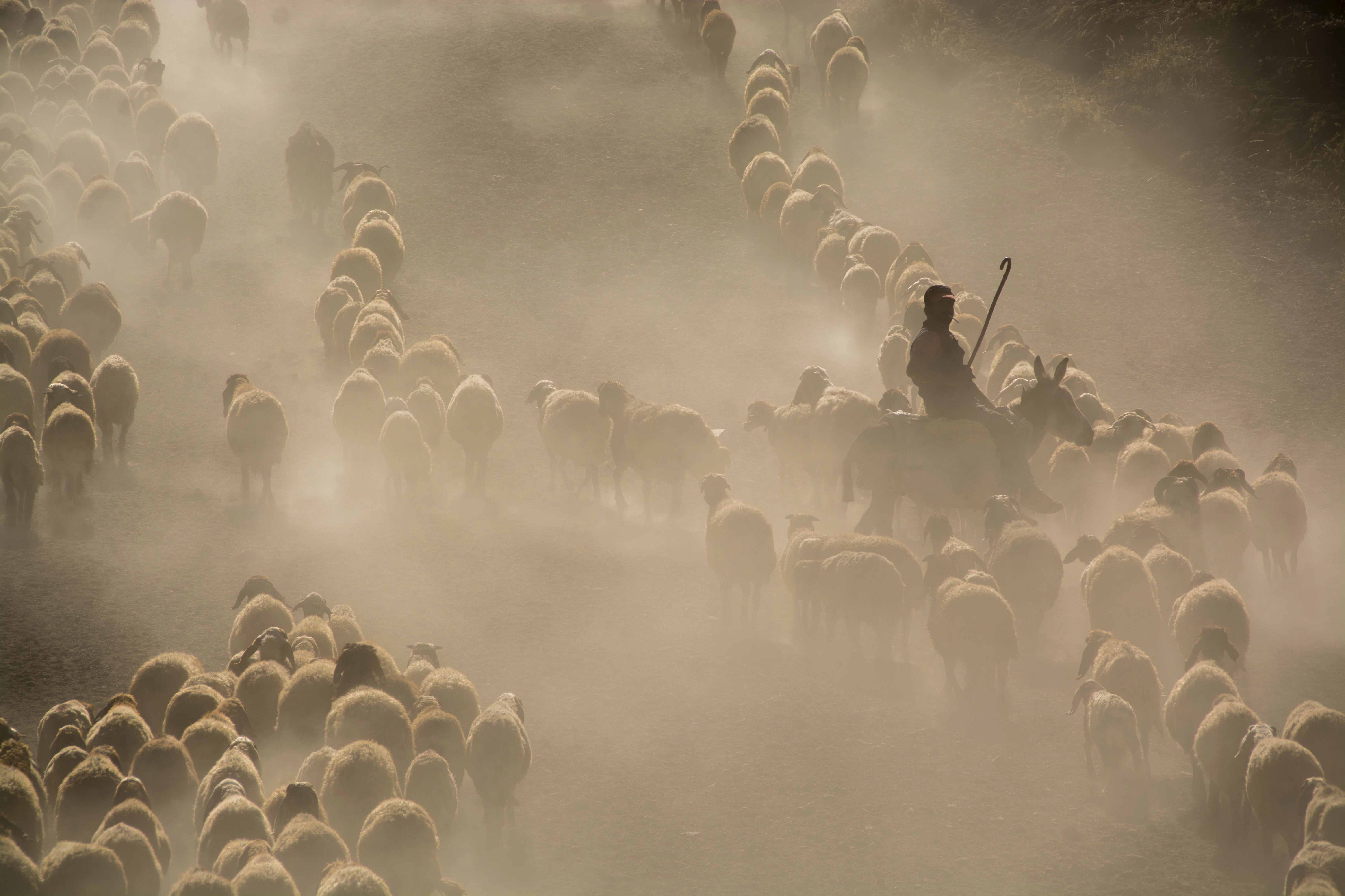 Chastisement and Suffering Part 4: Final Thoughts | Crossmap Blogs