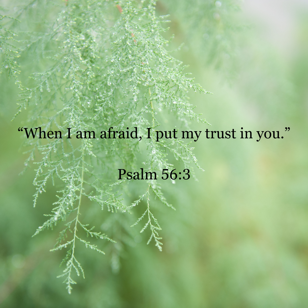 Trust Amid Fear | Crossmap Blogs