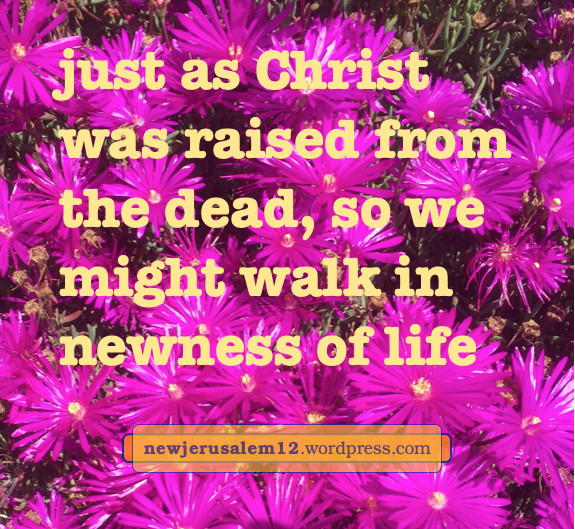 Newness of Life for New Jerusalem | Crossmap Blogs