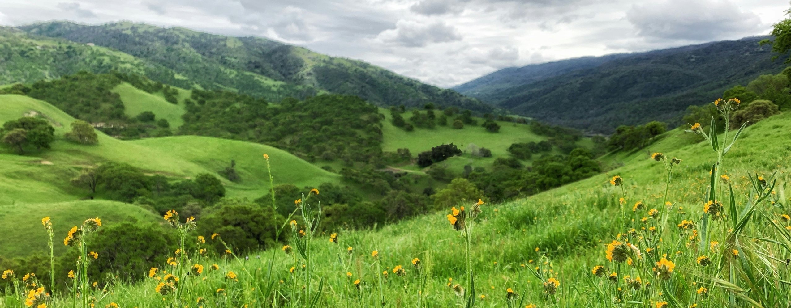 The Story Of Elisha And The Aramean Army | Crossmap Blogs