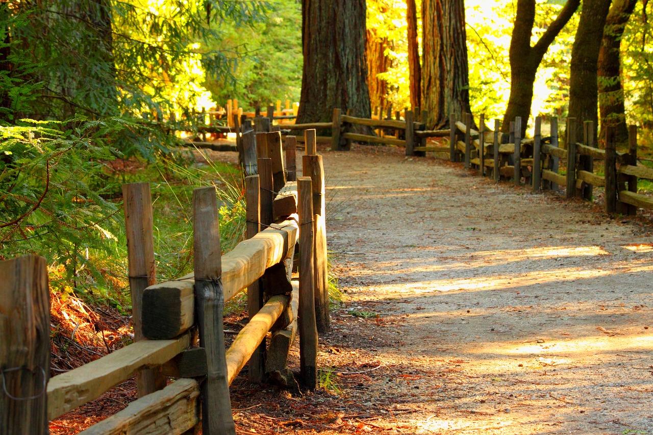 Trusting God to Direct Our Path | Crossmap Blogs