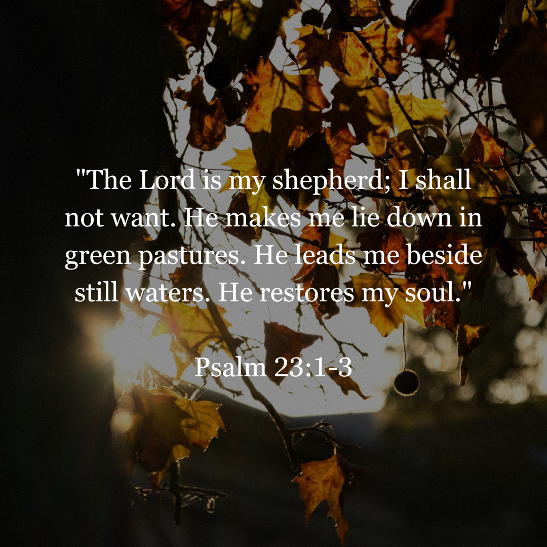 Boundless Love | Crossmap Blogs