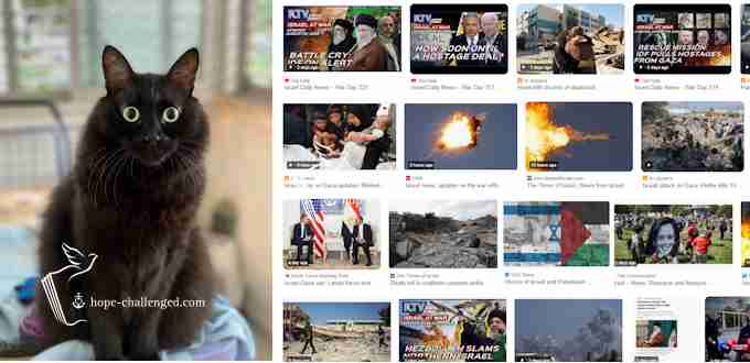 Navigating a Split-Screen Reality | Crossmap Blogs