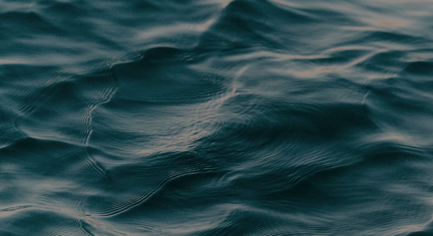 The Love in Leadership | Leadership Devotional | Crossmap Blogs