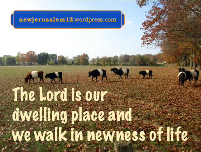 Live in the Lord, Walk in Newness of Life | Crossmap Blogs