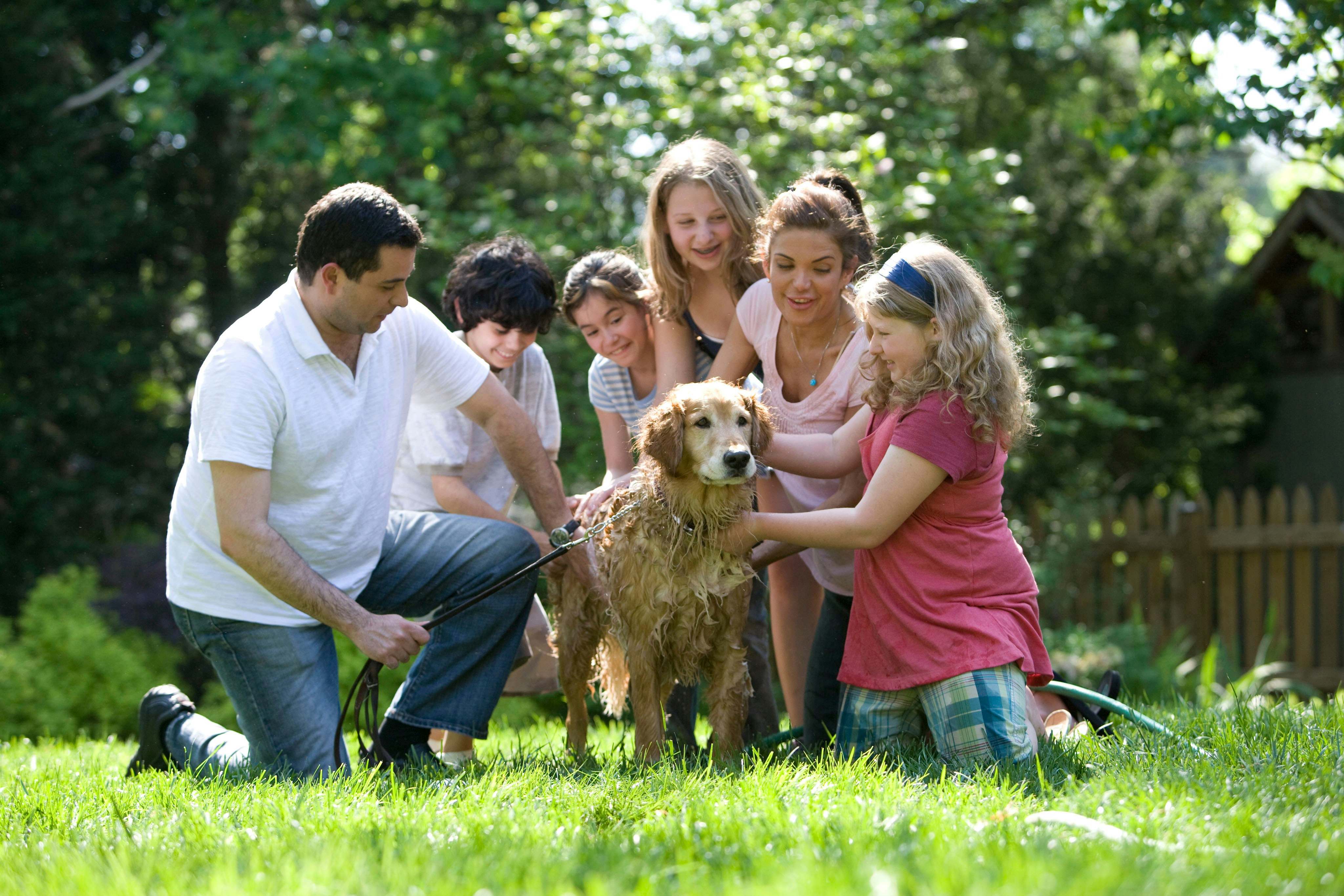 Family Ties | Crossmap Blogs