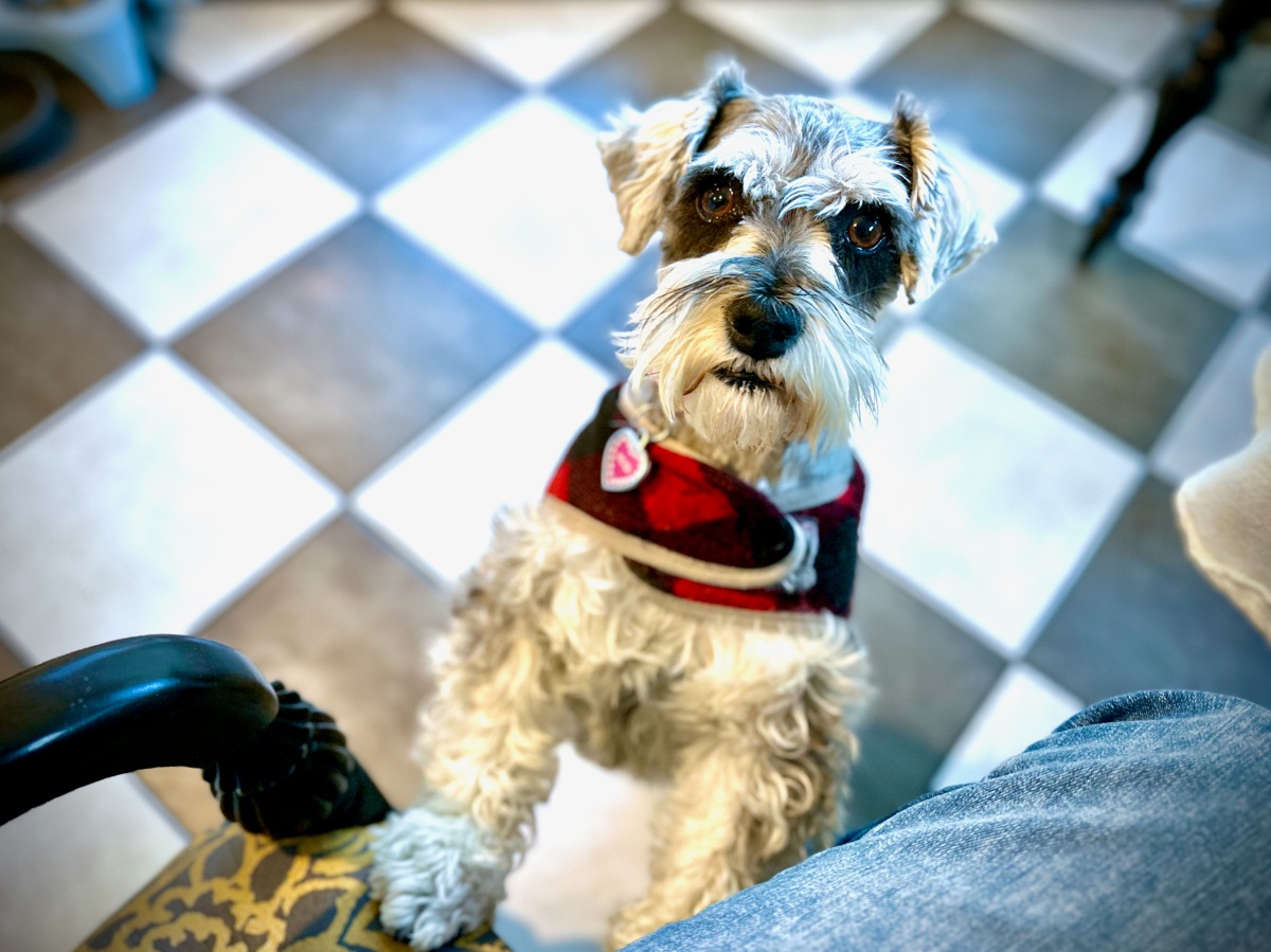 A Beggar in Need of Grace | Crossmap Blogs