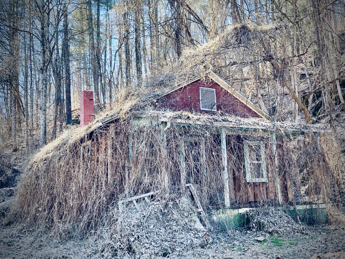 A Better Hiding Place | Crossmap Blogs