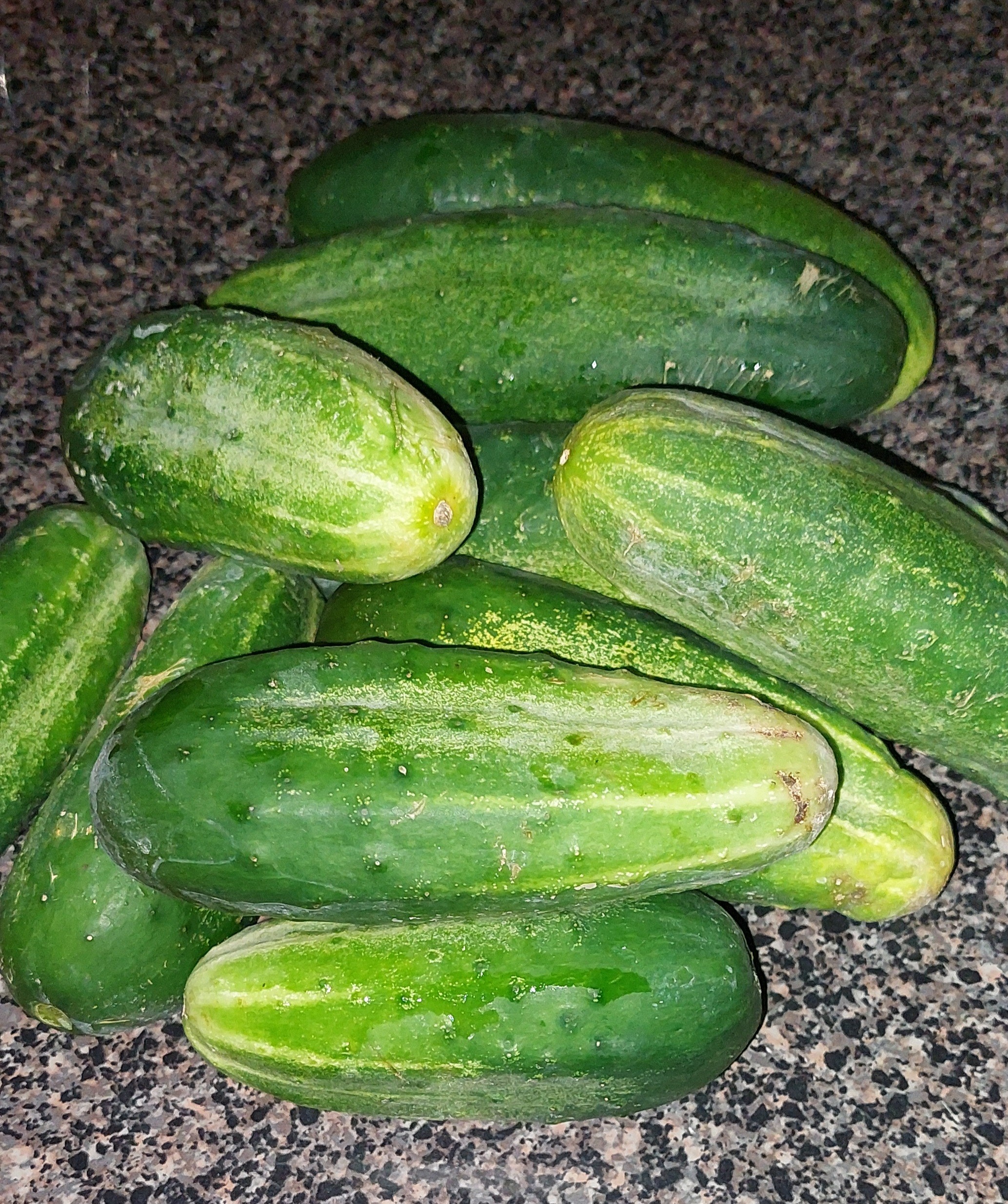 Cucumbers and Other "Coincidences" | Crossmap Blogs