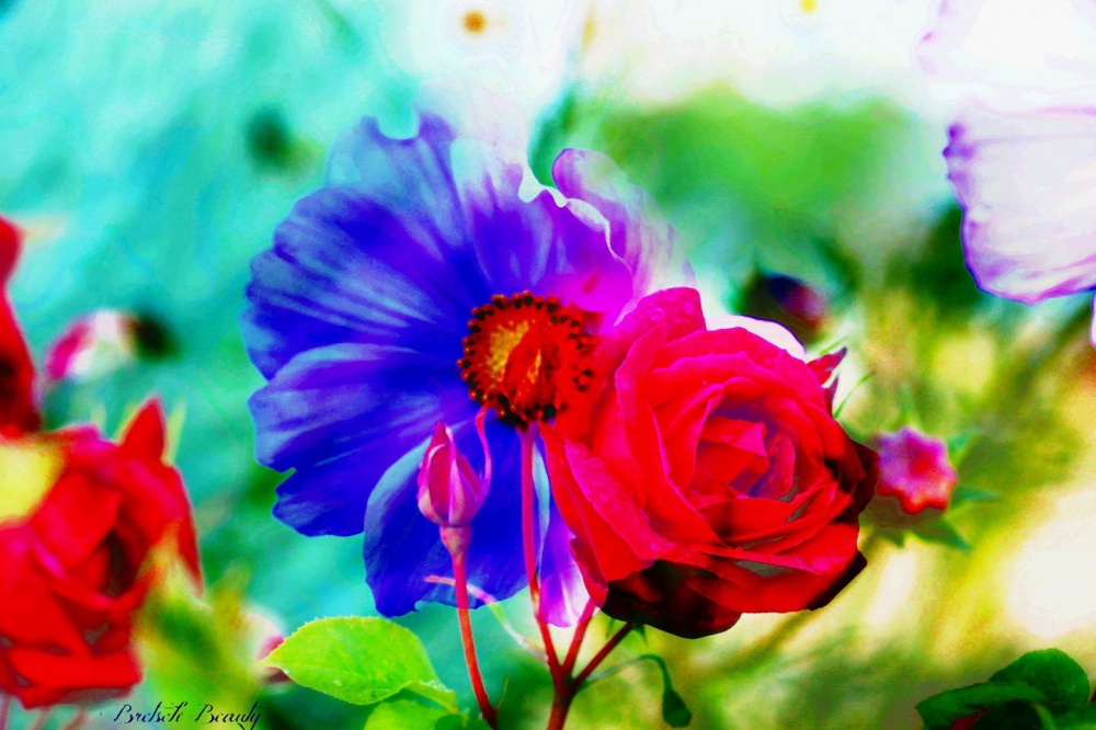 The 15-Second Rule That Changed My Life: How to Let Go of Guilt and Live Free in God’s Grace ...