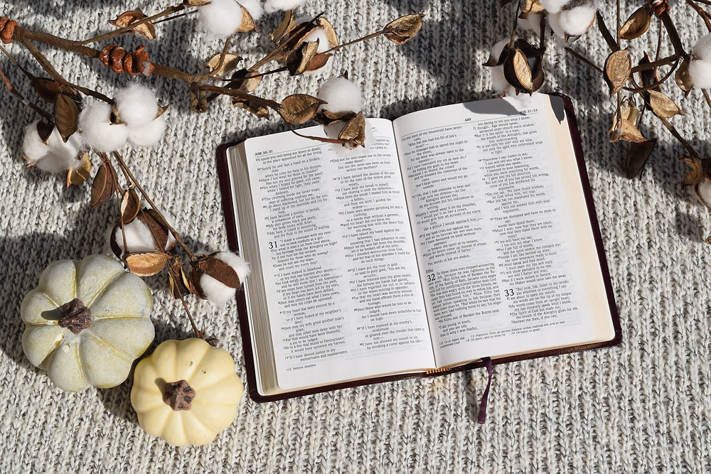 November is Global Bible Month! | Crossmap Blogs