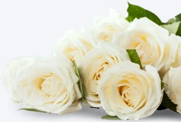 Never Not Easy — Grateful, yet Grieving | Crossmap Blogs